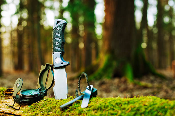 Hunting Knives: Everything You Need to Know - CutHills.com